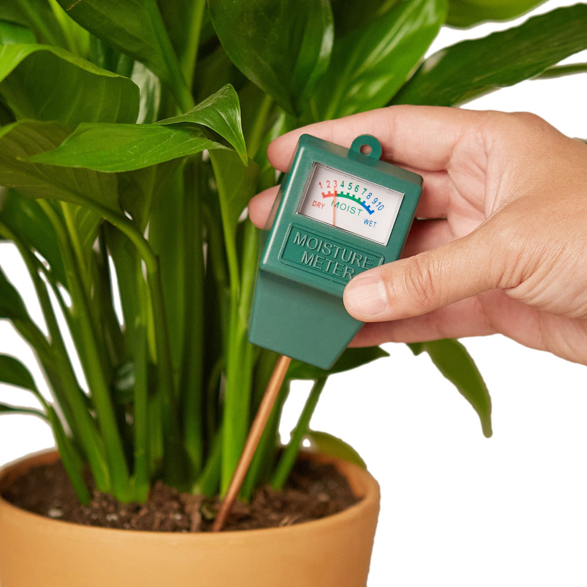 Moisture Meter – Work Hard Worms