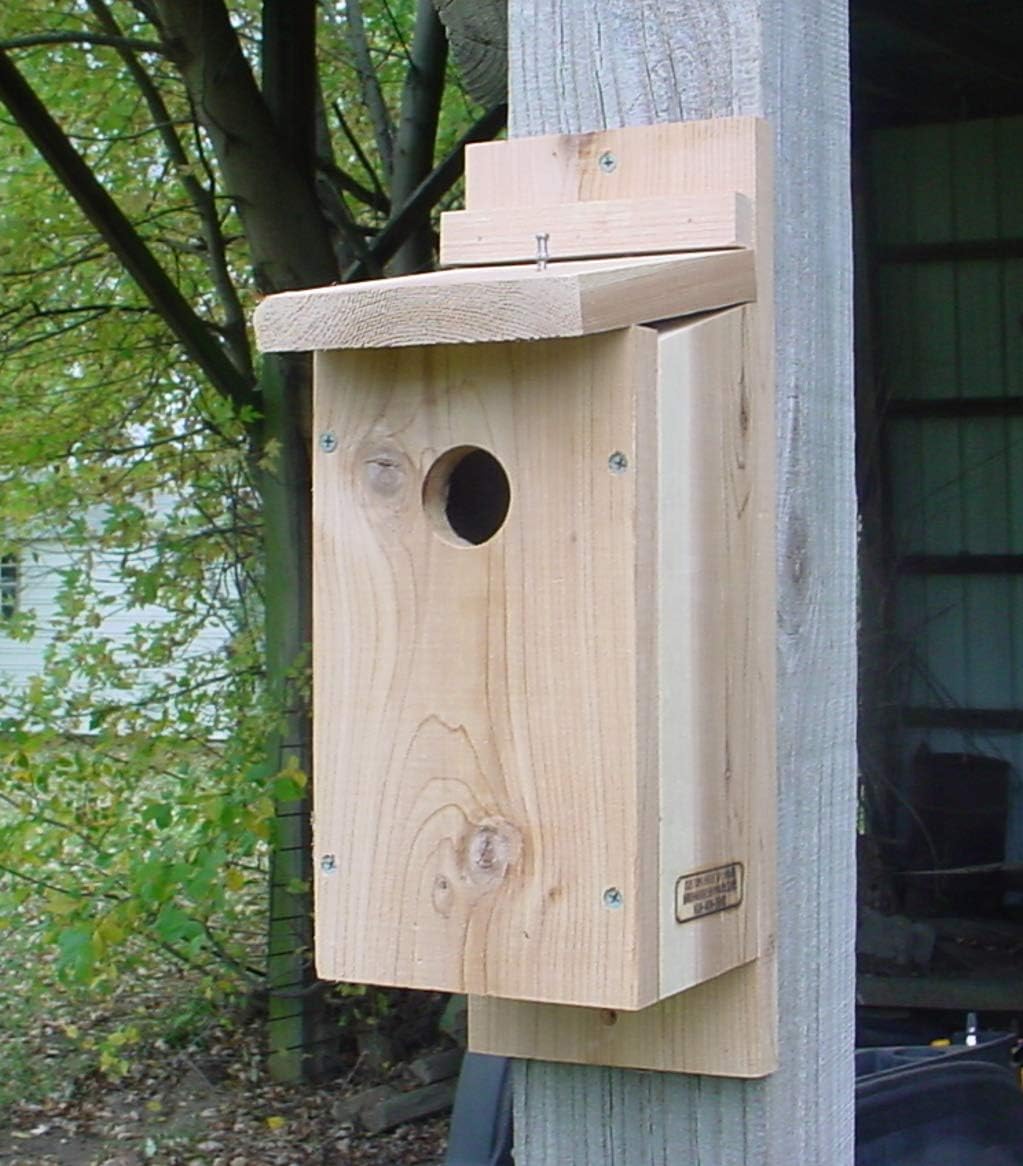 Cedar Bluebird House, 10.5", Nesting Box, Bird Houses by Mark, Made in ...